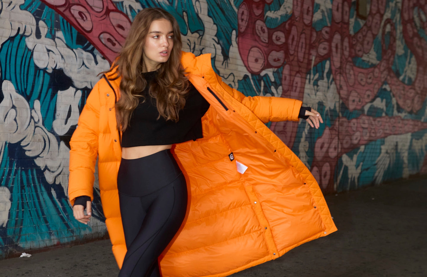 Top Reasons to Choose the Aurora Puffer Jacket for Cold Weather Advent ...
