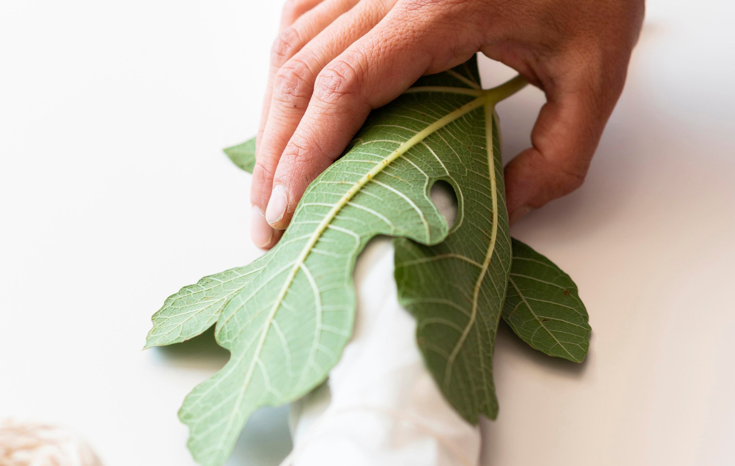 Wie wirst du heute die Erde umarmen? – Orolay